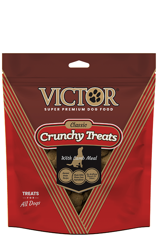 Victor Crunchy Dog Treats with Lamb Meal - Burlington, NC - Isley Farm ...