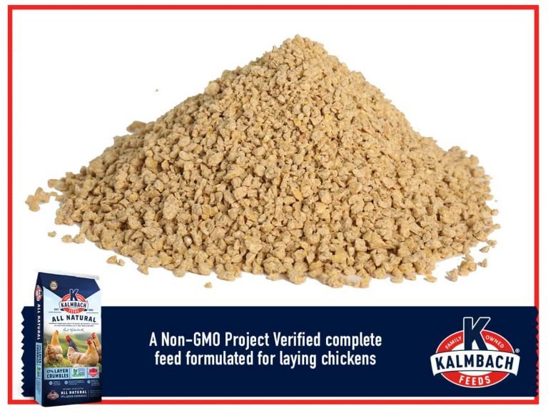 Kalmbach 17% All Natural Layer Crumble (Non-GMO) - Burlington, NC ...