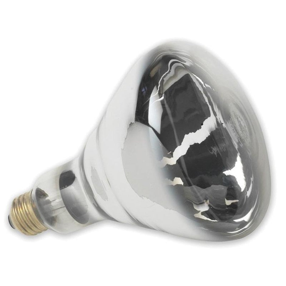 Satco Medium Base Incandescent Heat Lamp Bulb - Burlington, NC - Isley ...