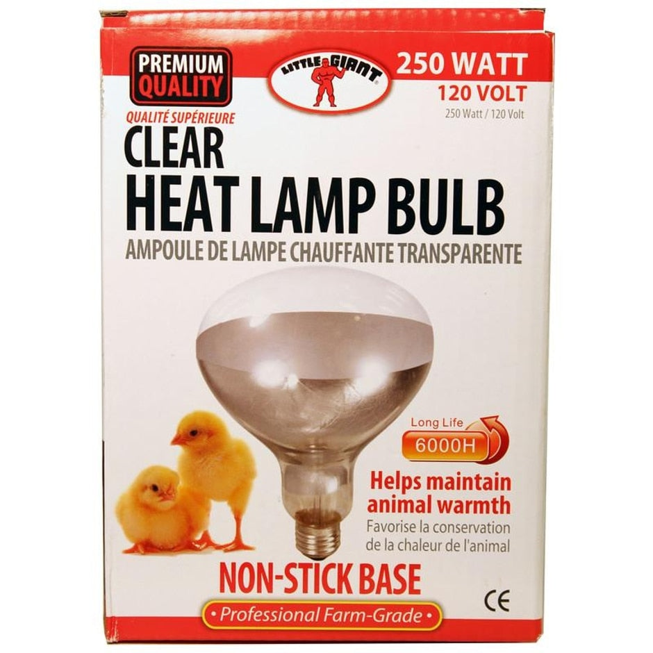 LITTLE GIANT CLEAR HEAT LAMP BULB - Burlington, NC - Isley Farm Supply