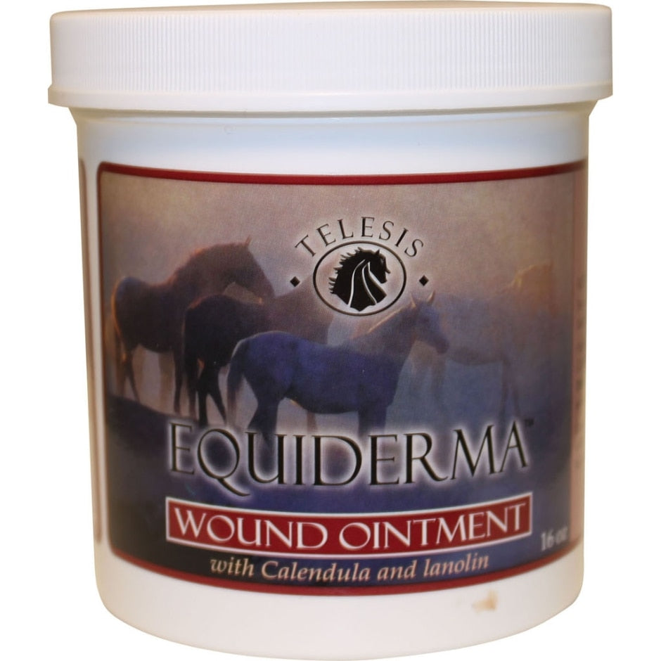 EQUIDERMA WOUND OINTMENT W/CALENDULA & NEEM - Burlington, NC - Isley ...